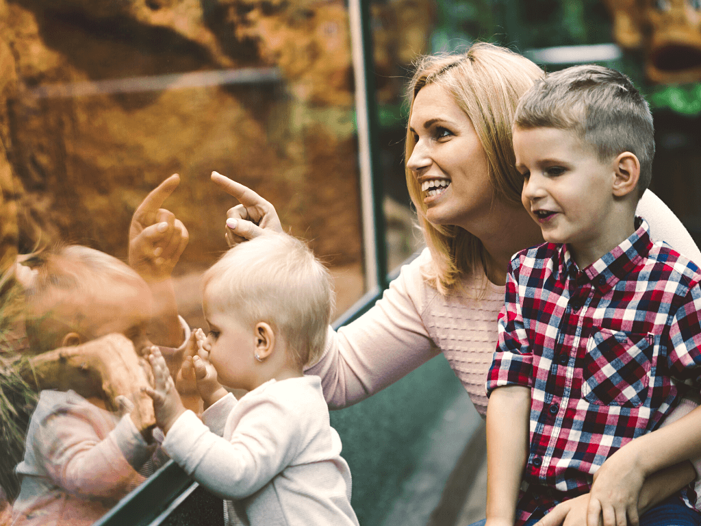 Jak zabavit děti o prázdninách - KINGS.cz